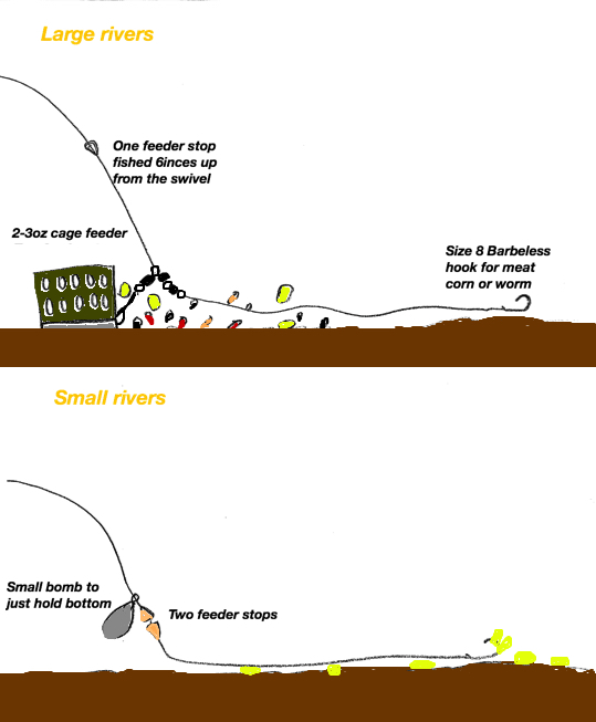 SHORT SESSION BARBEL | SYORK&MIDs FISHING Press