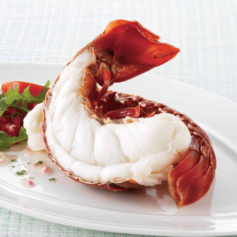 Unique Lobster Behavioral Adaptations Display | Supplier Fresh Water ...