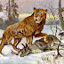 Animales prehistóricos: El león cavernario americano. El felino más ...