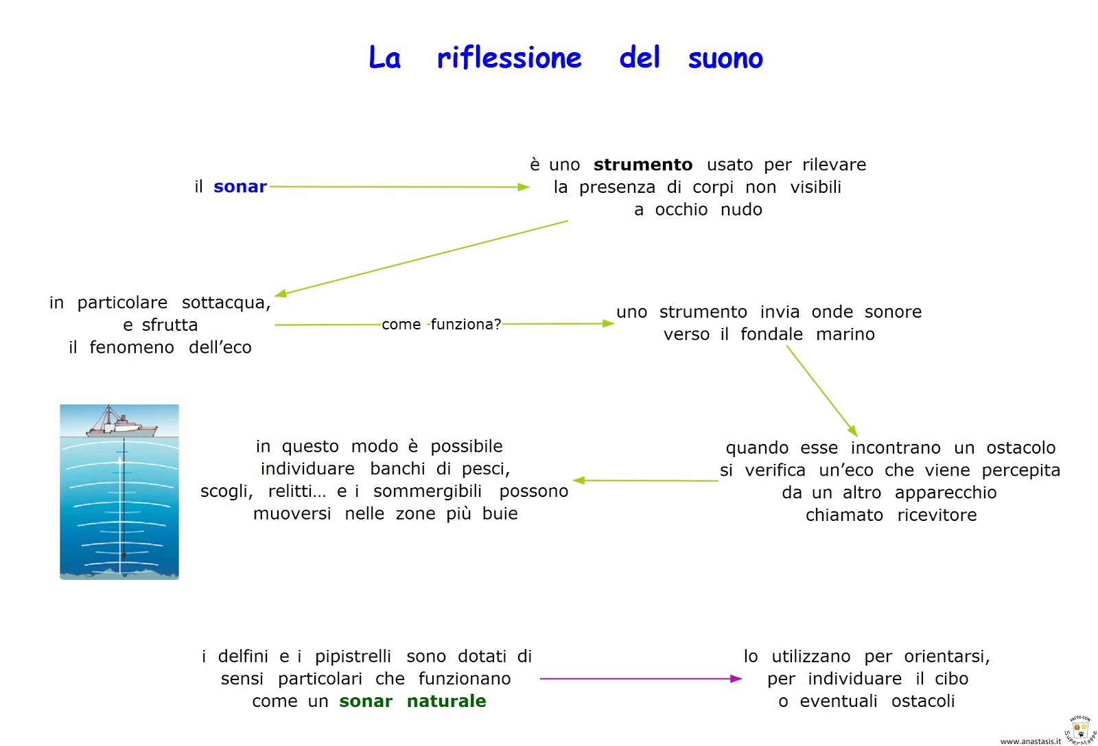 Paradiso delle mappe: La riflessione del suono: il sonar