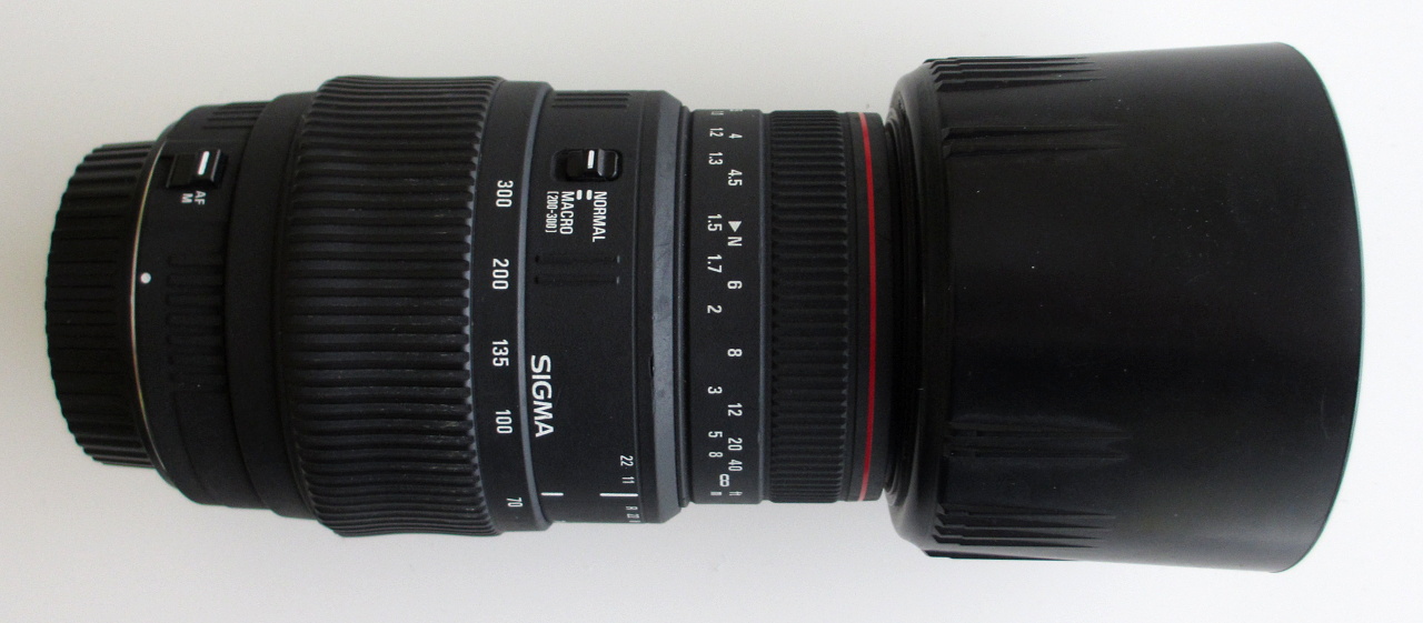 Sharp Wings: Teleobjektiv Sigma 70-300mm f/4-5.6 APO DG Macro - recenze