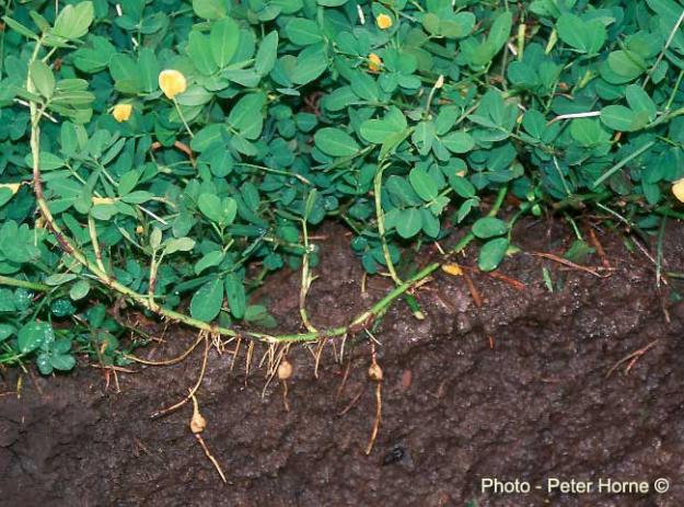 Karmely Guerrero: 2012