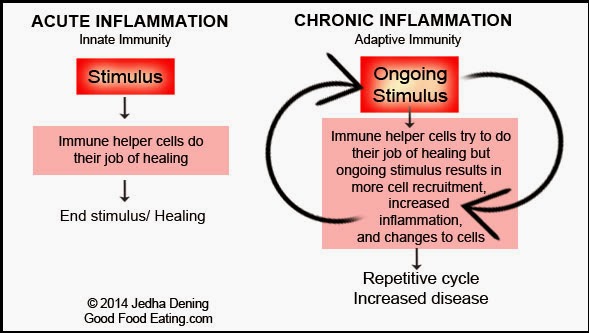 Acute And Chronic Inflammatory Processes ~ Inflammation is