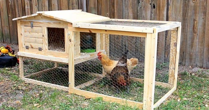 Simple Hen Ark Plans Designs That Are Easy to Build - biographypedia