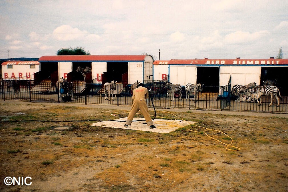 Norberts Internationale Circuswelt: Circus Barum 1989