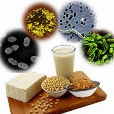 microbiology: introduction to food microbiology