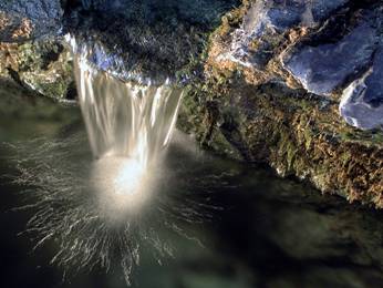 Lourdes Pilgrimage: Travelling to the Grotto Lourdes, France