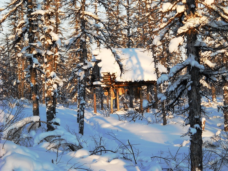 Parallel 65 North: Siberia will teach you!