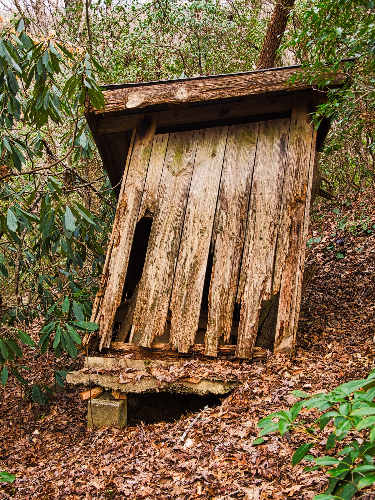 Ramble around Rocky Bottom