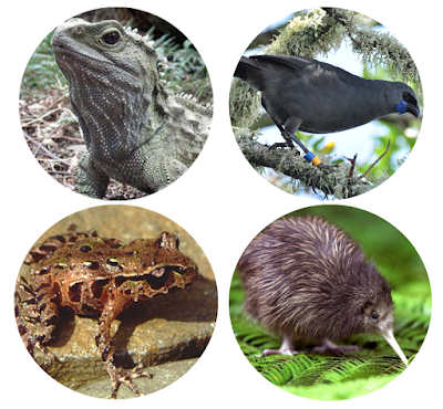 New Zealand's Invasive Mammal Hitlist - Science in the City