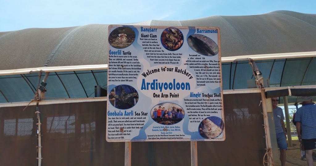 One Arm Point ~ School of Running