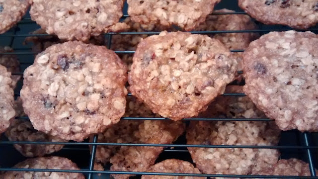 Sunny day, sweeping the clouds away....: Oatmeal Cranberry-Orange ...