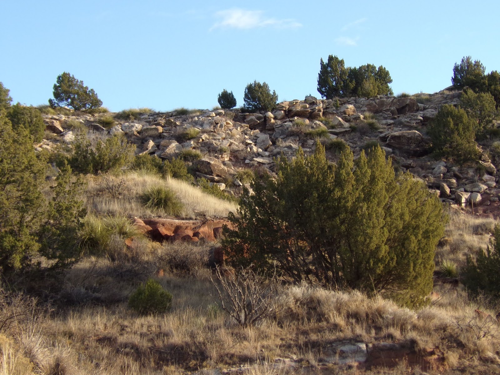 Sumner Lake State Park, Fort Sumner, New Mexico