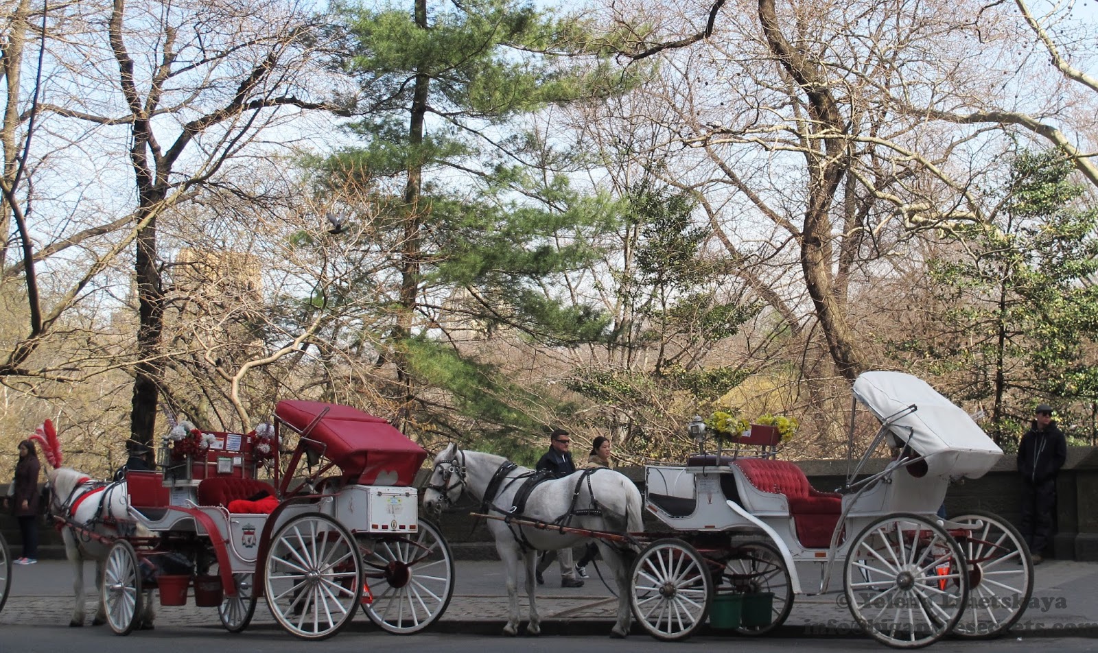 Big Apple Secrets: Central Park: Horses, pedicabs and De Blasio