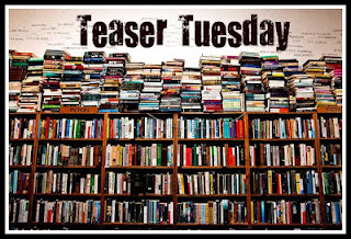 Donna L Martin's THE STORY CATCHER: Teaser Tuesday