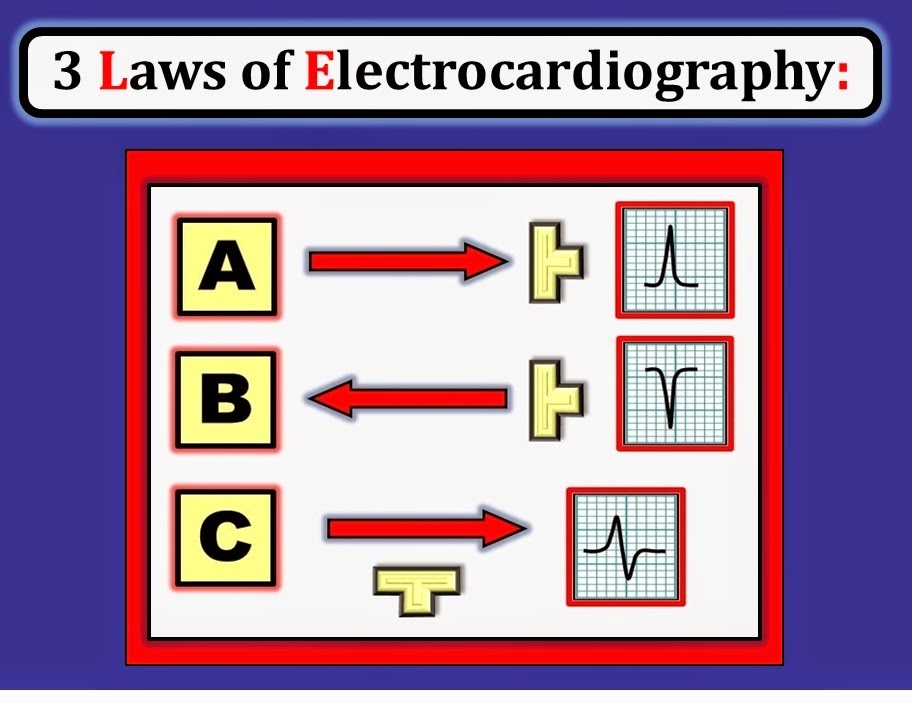Normal ECG & electrocardiography principles (정상심전도) : 네이버 블로그