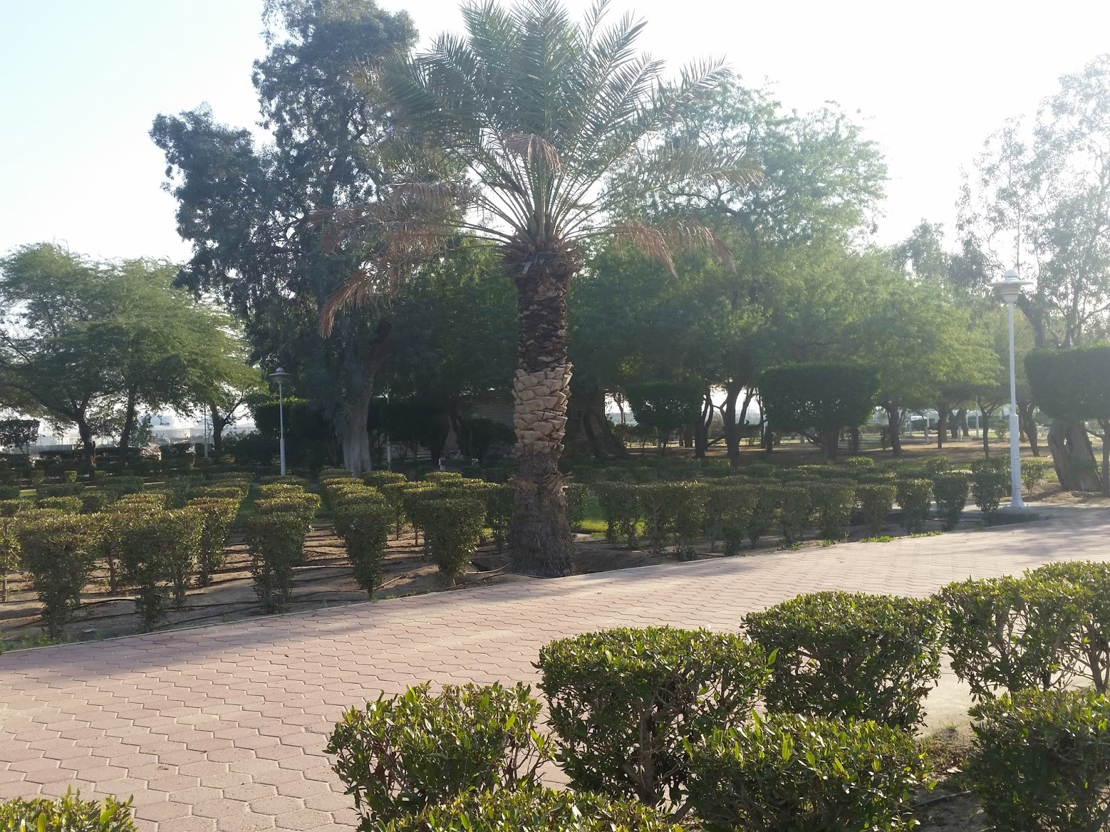 Life in Kuwait Blog: Fahaheel Park