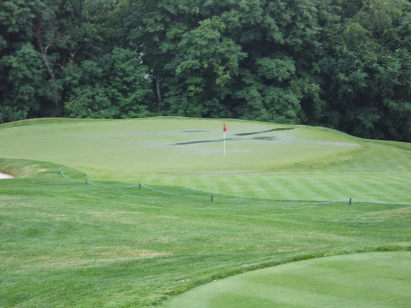 The Vue From The Greens...: XGD