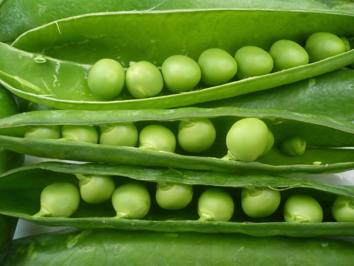 Un canasto de lanas: Guisantes con Jamón