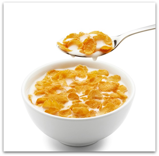 Prevention And Suggestion On Kidney Disease What Is The Right prevention-and-suggestion-on-kidney-disease-what-is-the-right