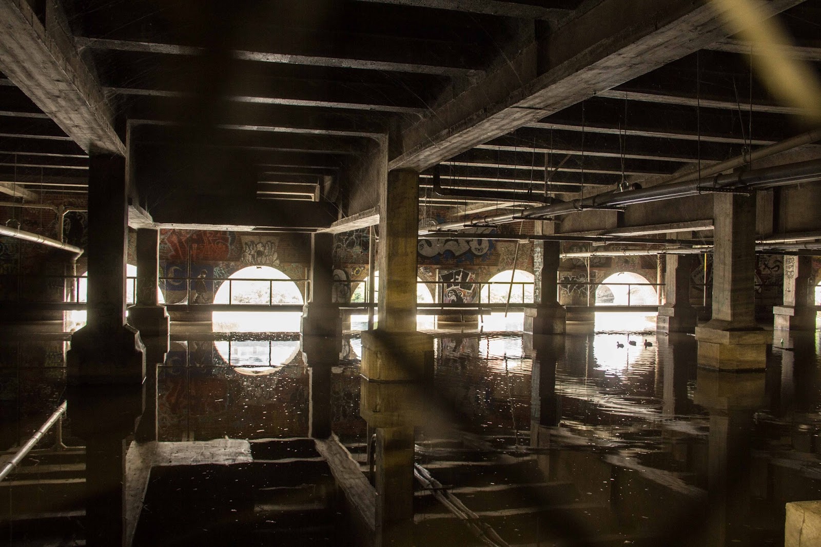 Photos by Stan: Rochester’s Abandoned Subway 2 [Orange You Glad It's ...