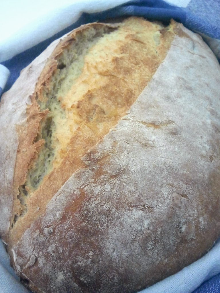 escola de cuinetes: PAN RÚSTICO, GREÑADO (con avellanas y avena)