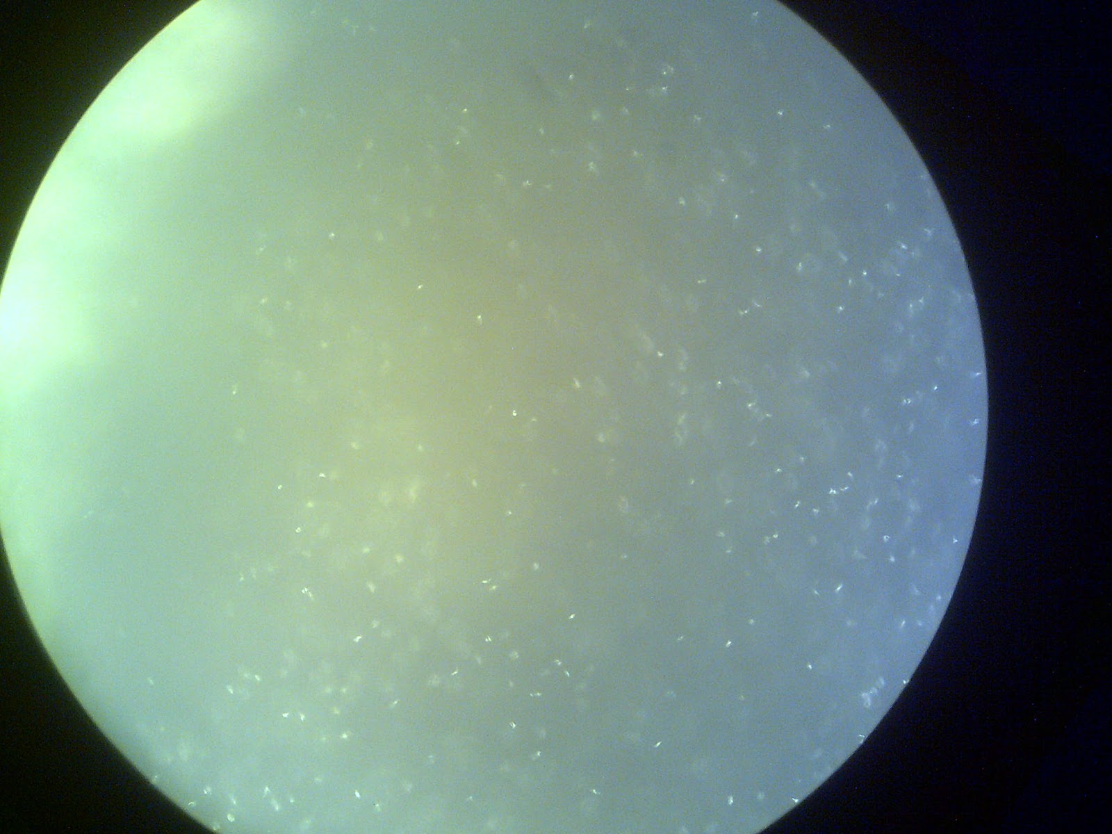wigton physics: Brownian Motion and the Whitley Bay smoke cell