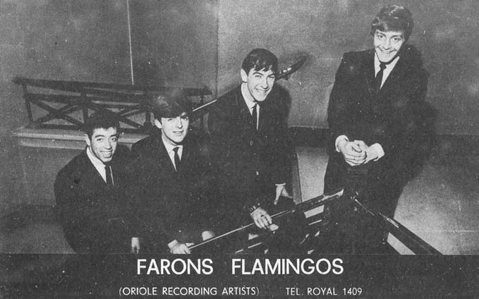 Big Sixties Music Blog: Faron's Flamingos