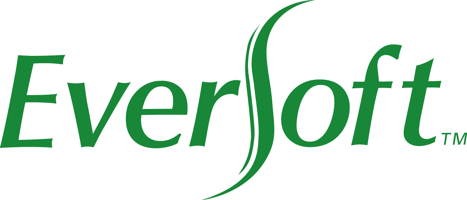 AIMIIIIIBABY: New Eversoft