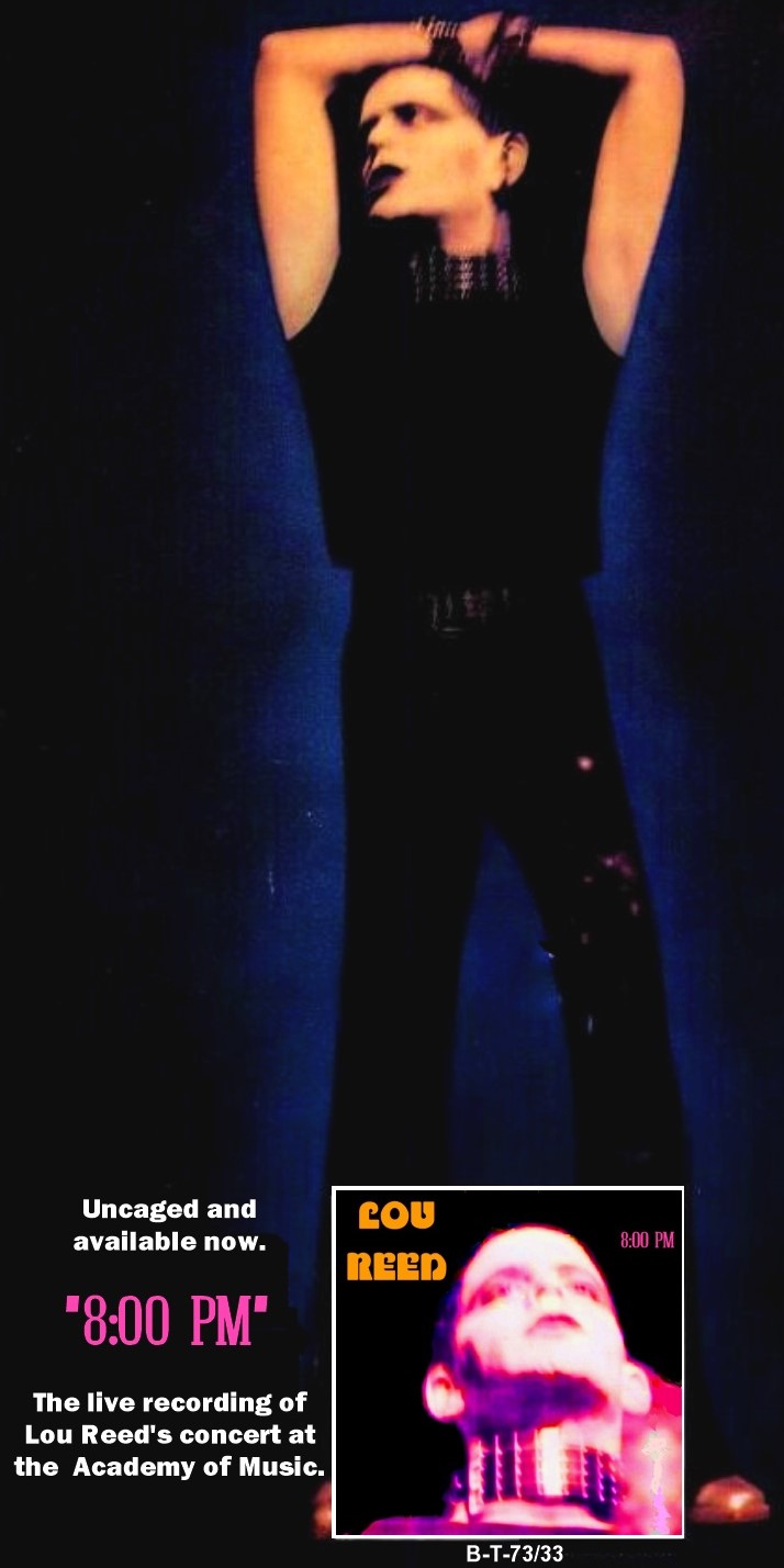 Help! I’ve been looking for any footage from artist Lou Reed’s live ...