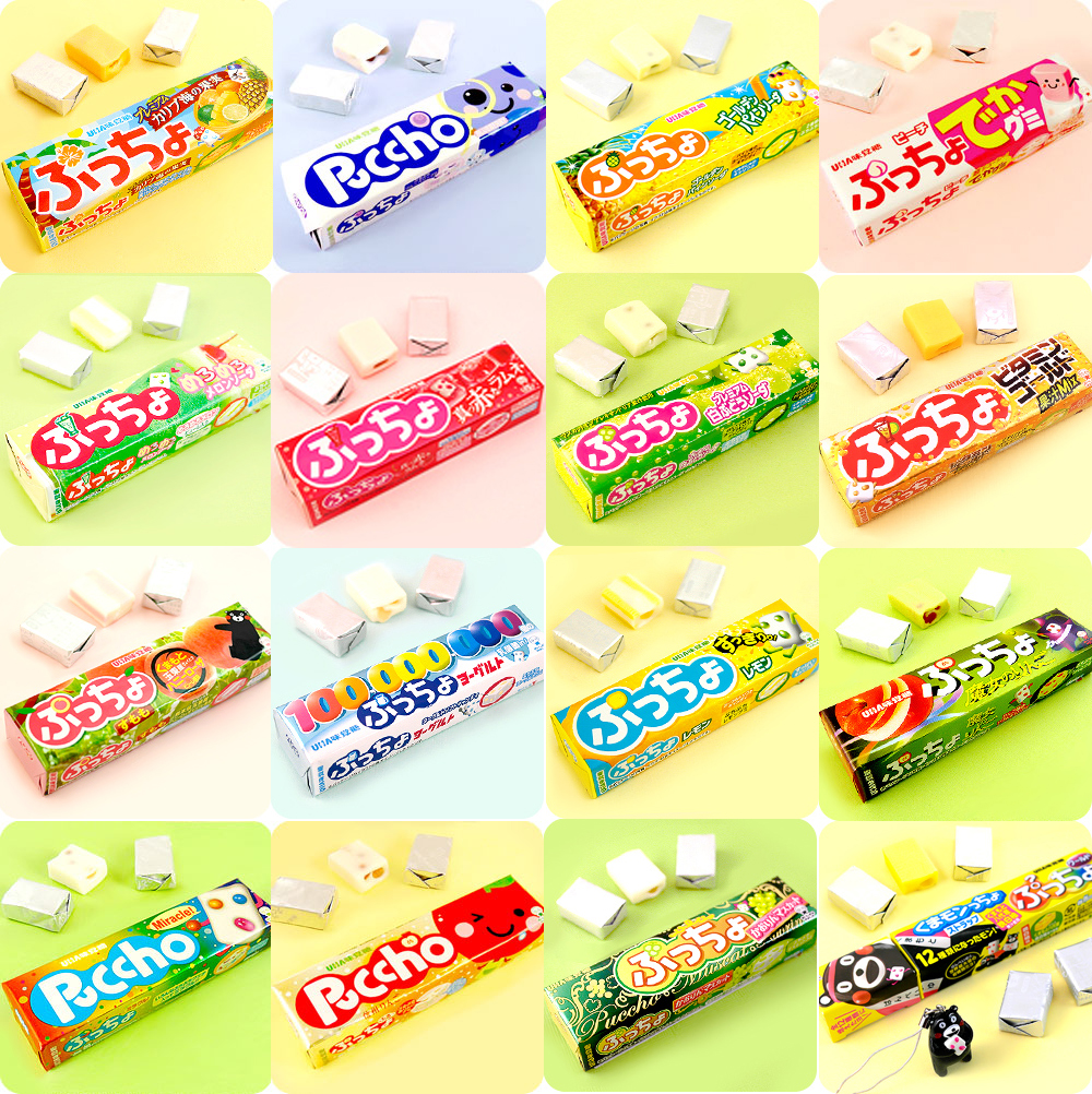 Tofu Cute Official Blog: Let's Learn About: Puccho