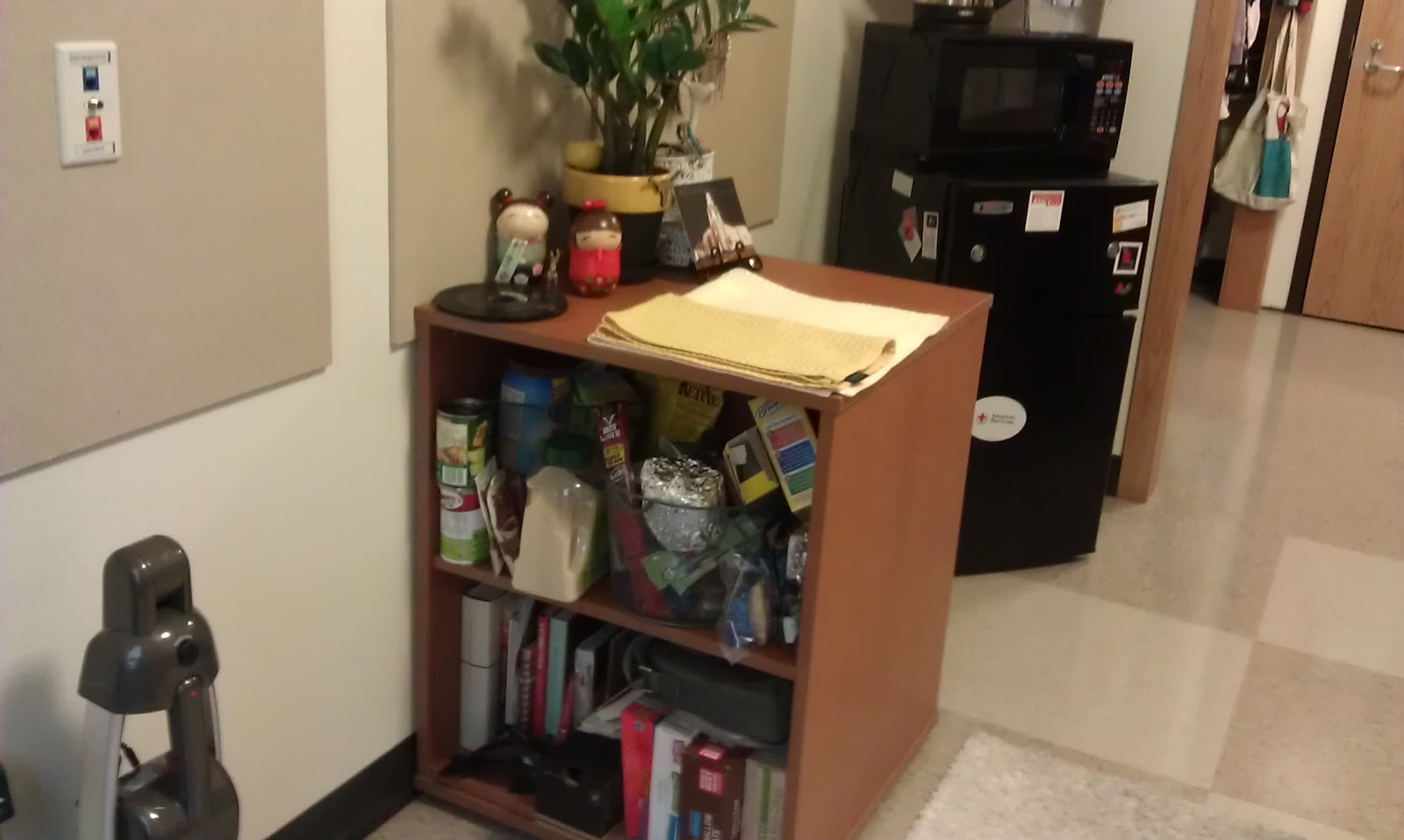 Dorm it down at University of Texas in Austin: DUREN (Where I live)