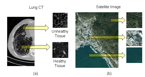 Alceu Costa: Texture Classification