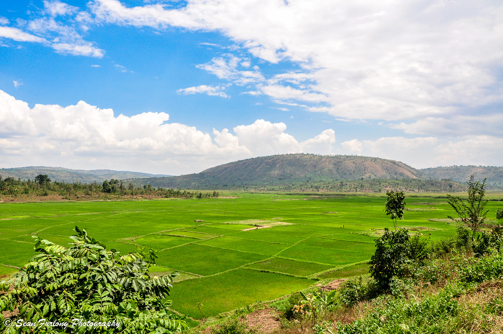 Sean Furlong Photography: Rwanda