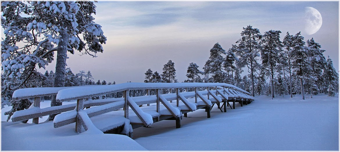 Valtteri Mulkahainen - igra svetlucavih perli ~ F I N S K A