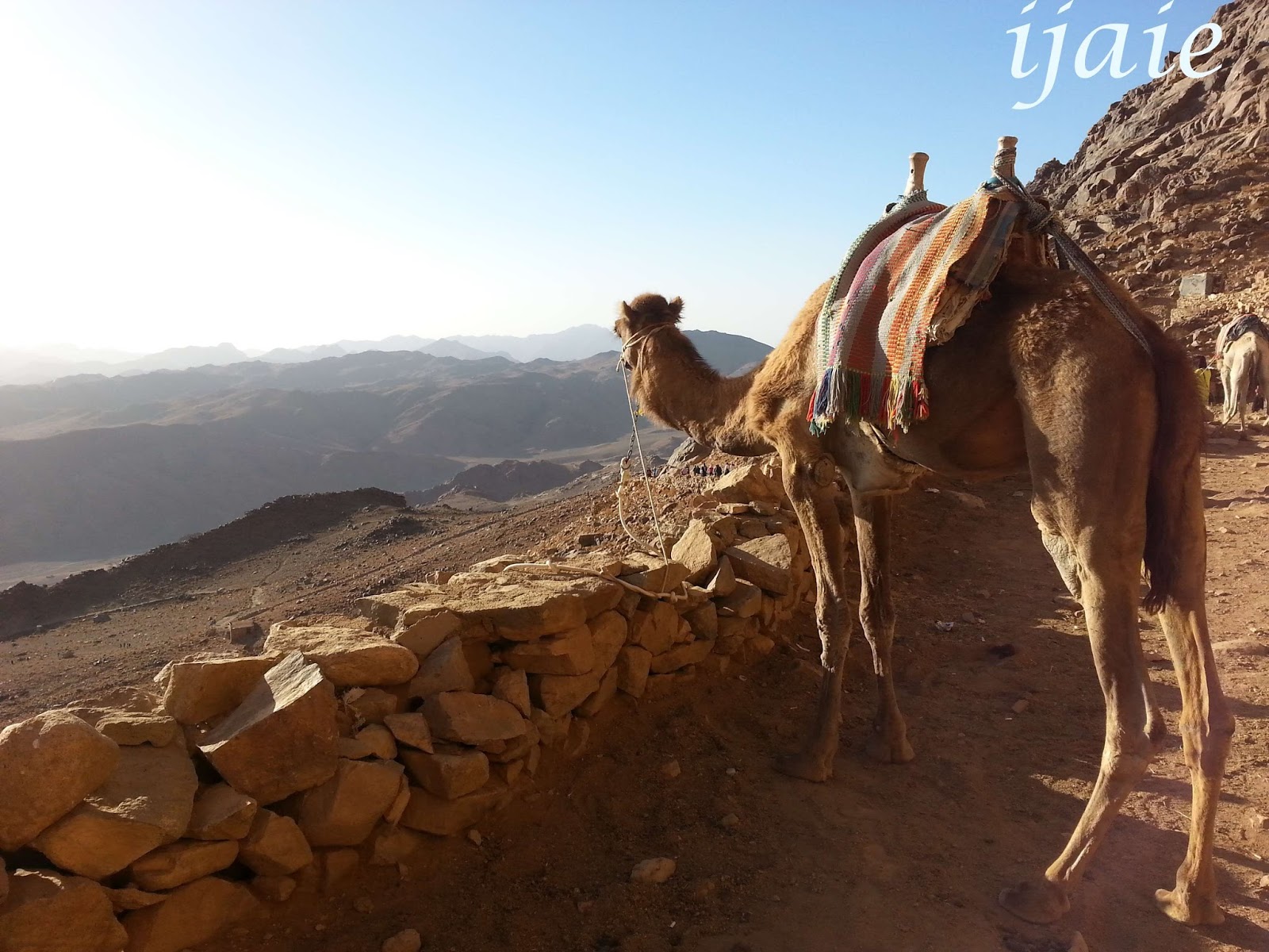 IjA Rania Farhan Danial: Pengalaman mendaki Jabal Musa / Mount Sinai