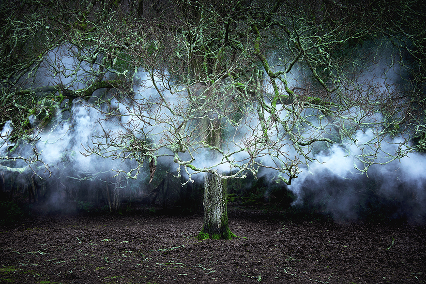 bensozia: Ellie Davies Photographs Fairyland