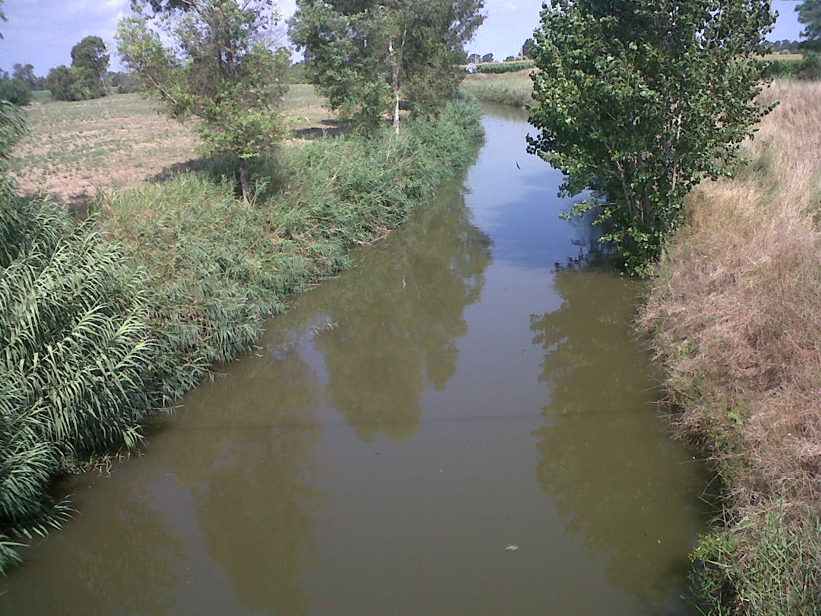 pontinia ecologia e territorio: Pontinia e Sabaudia il fiume Sisto diventa rosso