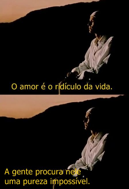 Jeito de flor: Te trago mil rosas roubadas