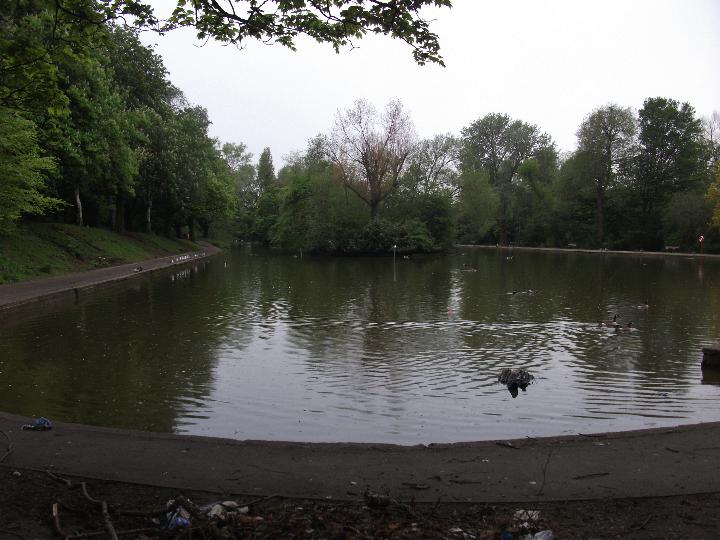 Vinnyman's Birding and Nature Blog.: Ward End Park.