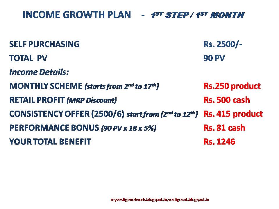 Vestige Digital Network: INCOME GROWTH PLAN