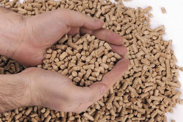 Breeds Rabbit: Dry Food For Rabbit