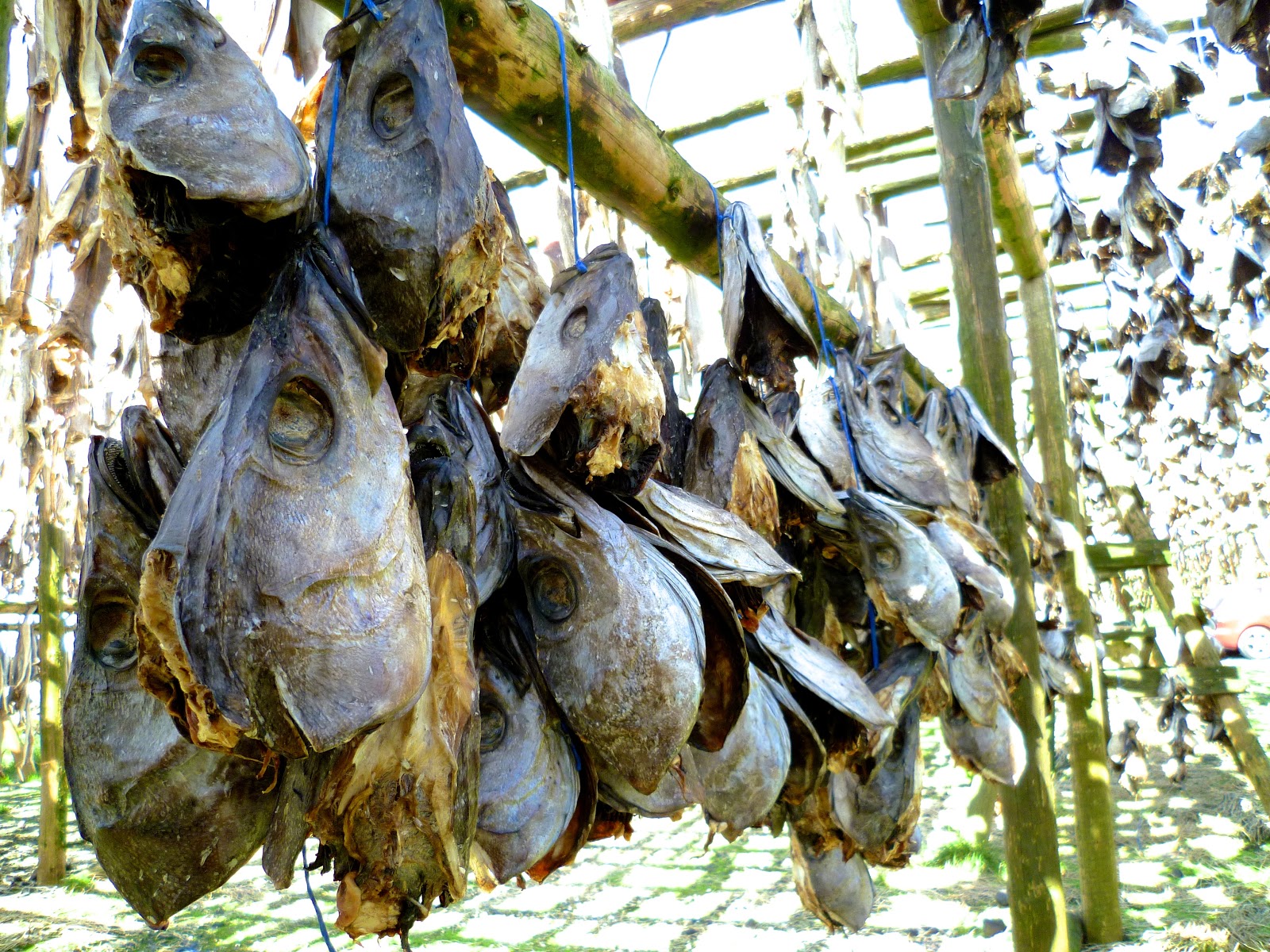 Iceland Eyes: an Original Icelandic Photojournal Since 2004: Stockfish ...