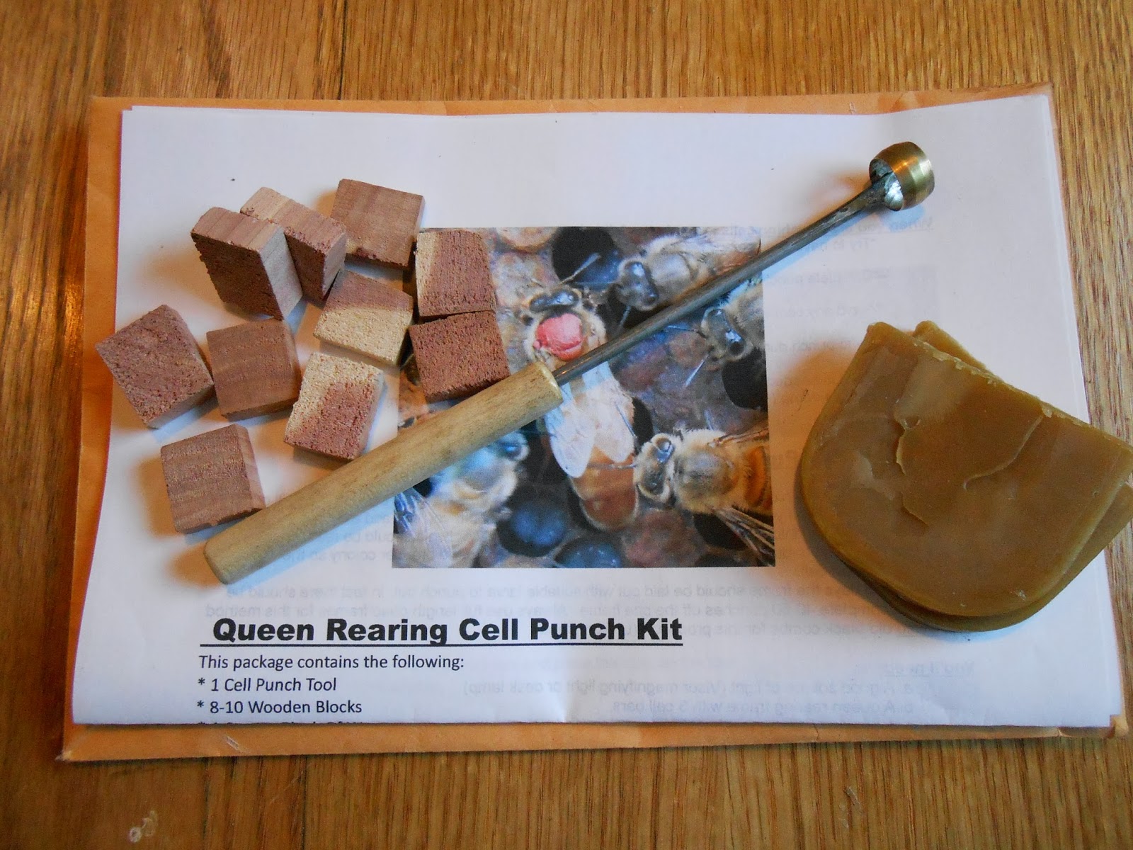 JC's Bee Blog: Queen rearing with a cell punch