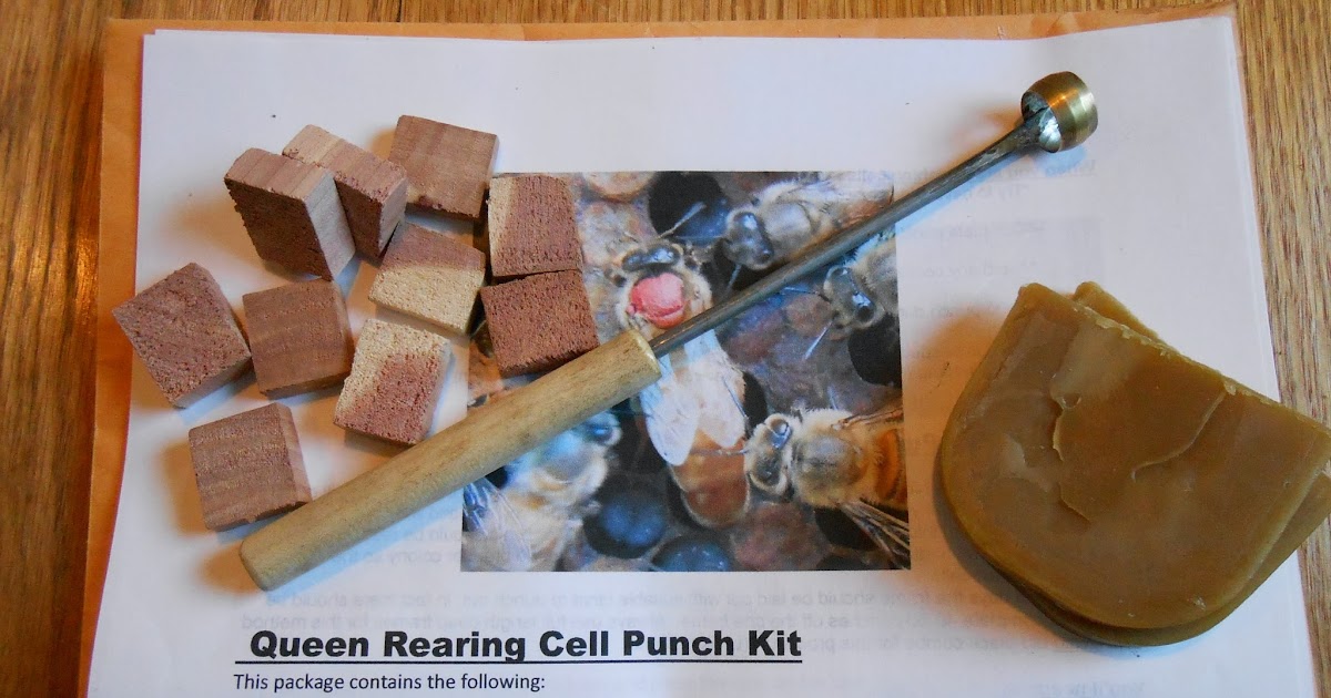 JC's Bee Blog: Queen rearing with a cell punch