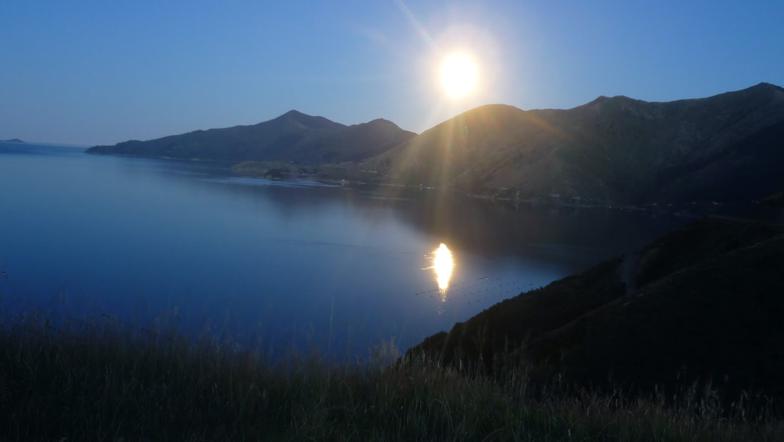 New-Zealand Adventure: Tondre des lamas à Cissy bay