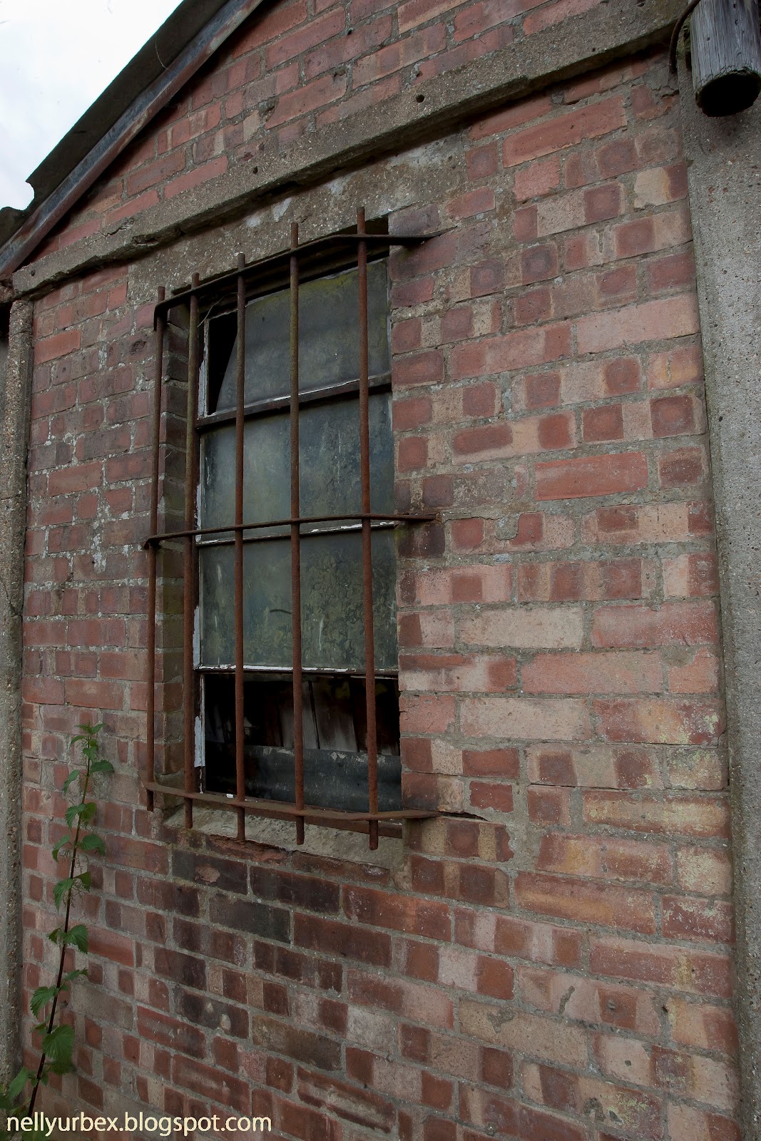 Nelly's Urbex: POW Camp 116 - Mill Lane - Hatfield Heath