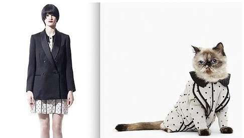 Spend Like A King: Catclub Collection - Trendy Matching Outfits For ...