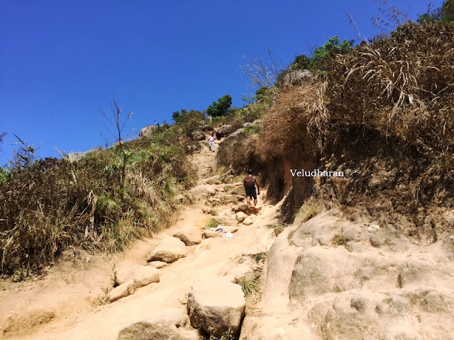 A Wandering Heritager: VELLIANGIRI ANDAVAR TEMPLE, ( “THEN KAILAYAM ...