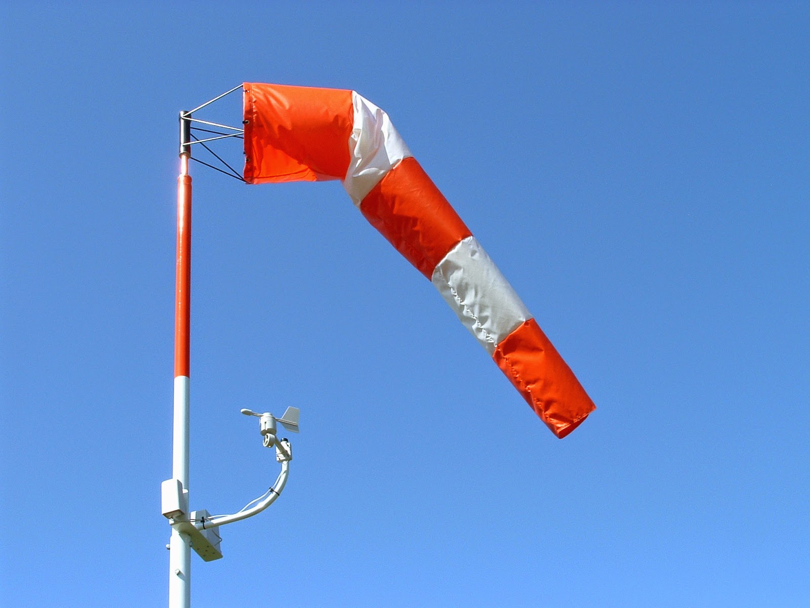 Bike Snob NYC: Wednesday!